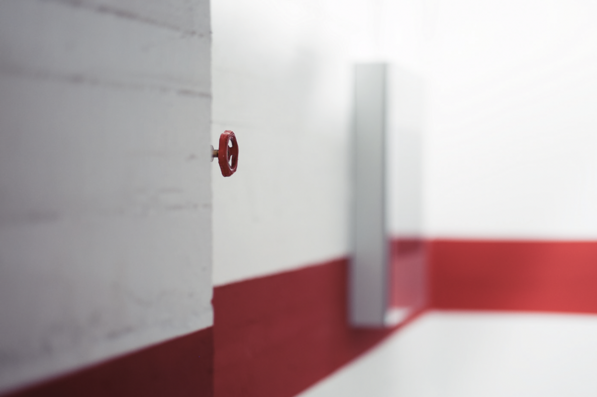 Auto Focus with your Fuji X-T5: Mastering AF-S & AF-C Modes - RockyNook